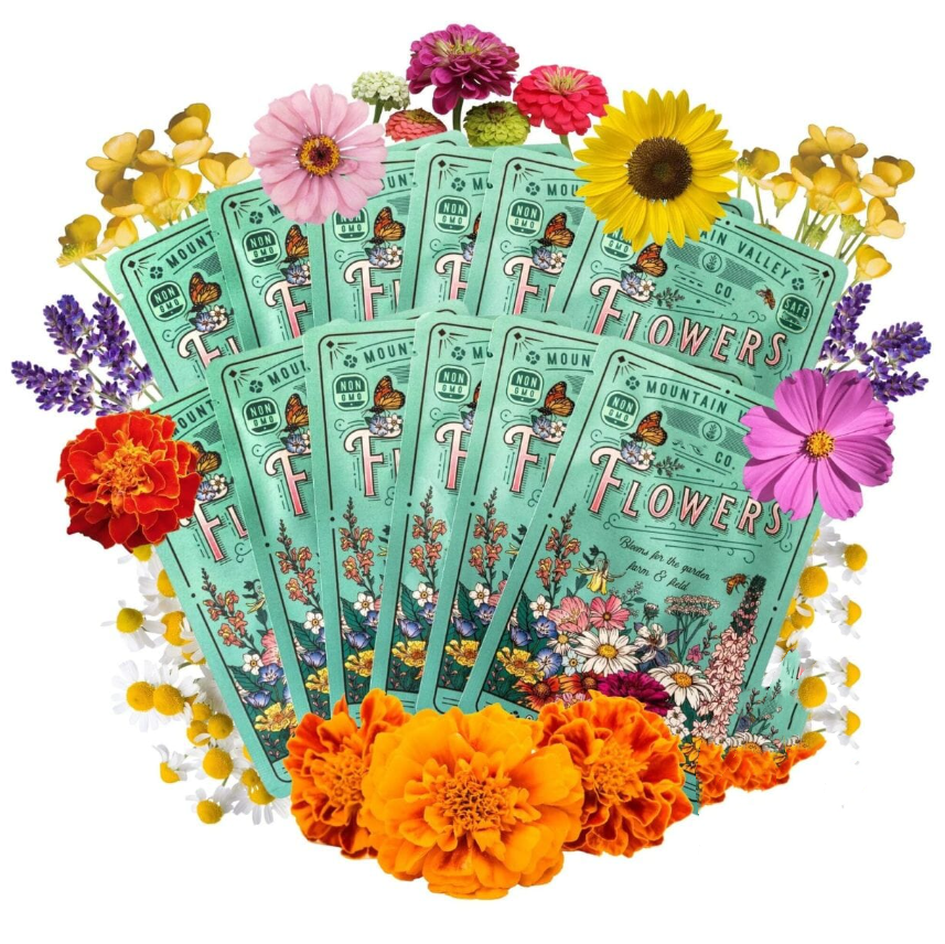 How to Choose Plumeria Seeds for Planting: A Complete Buying Guide