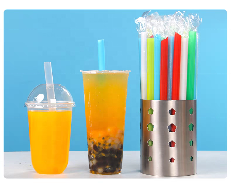 How to Choose the Best Dabbas Cups: A Complete Buying Guide