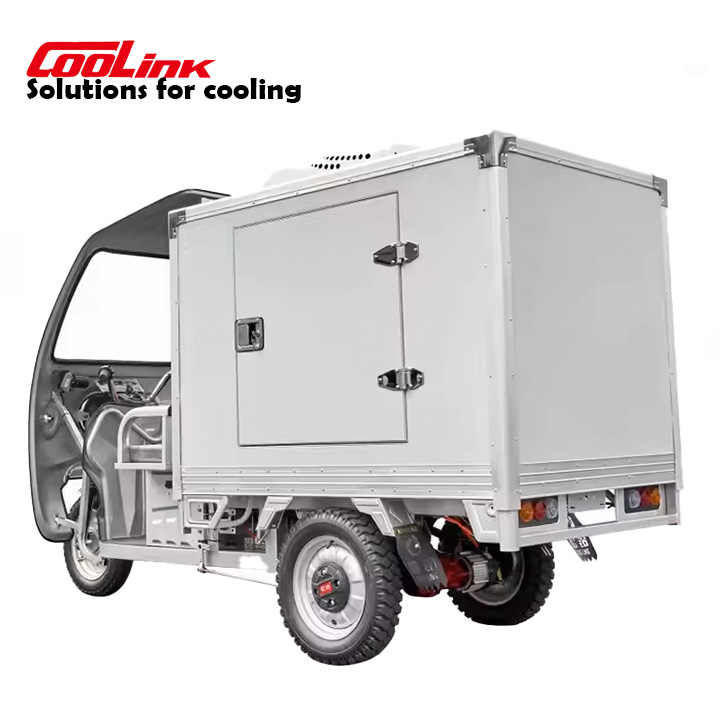 Tricycle Motorcycle Refrigerated Frozen Electrical Freezer