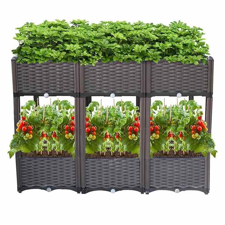Outdoor Vegetable Large Pvc Gardening Rectangular Planter Box Vertical ...