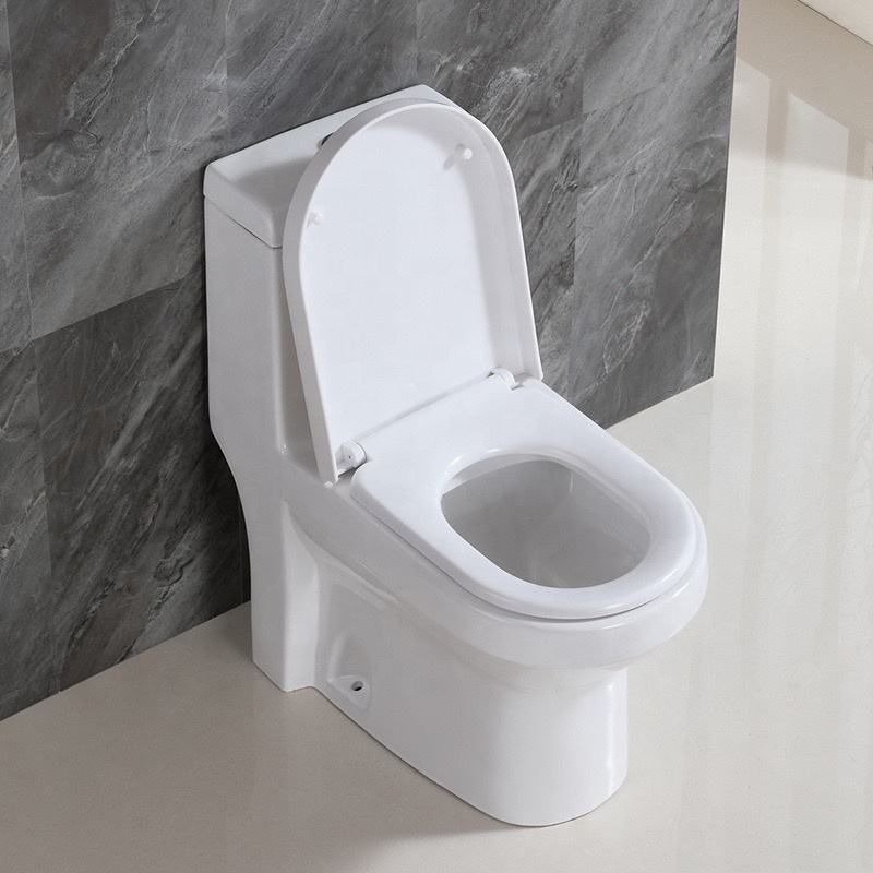 Moderno gran Sanitario Wc una pieza alargado sifón de doble descarga ...