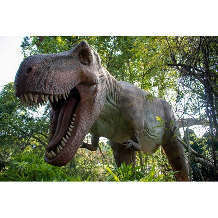 Realistic Animatronic Dinosaur Model for Outdoor Use, OEM