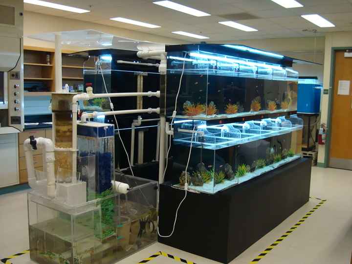 White Commercial Retail Fish Tank Rack Systems for Aquarium Shop