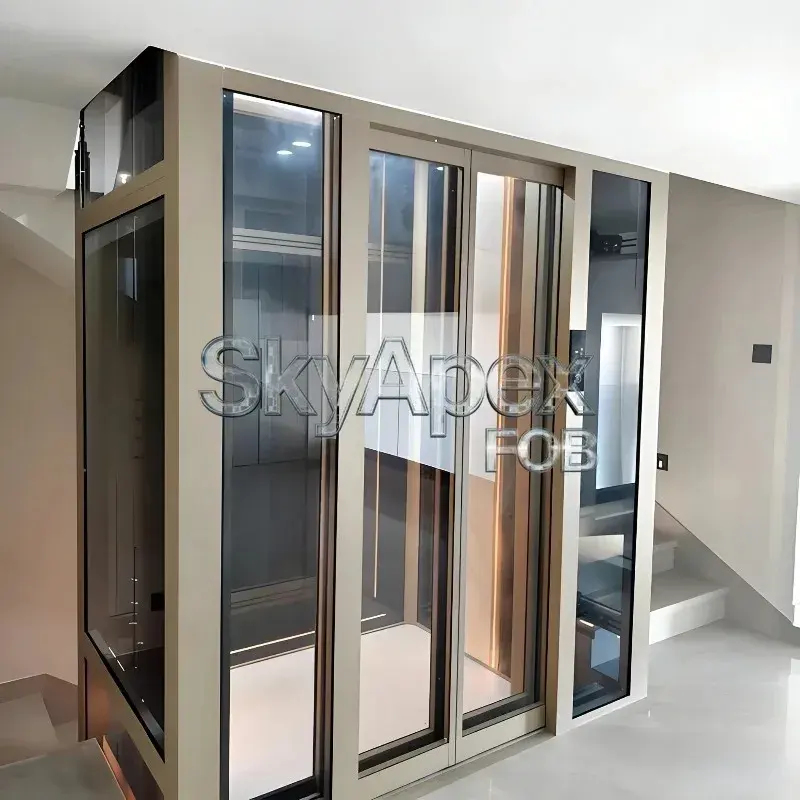Modern Gearless Home Elevator Villa Passenger Lift Two Floor ...