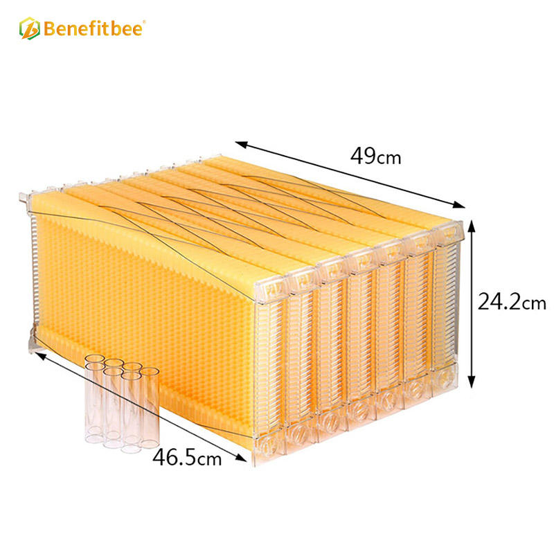 Wholesale Full Set Atuo Flowing Honey Bee Hives Beekeeping 7 Frames