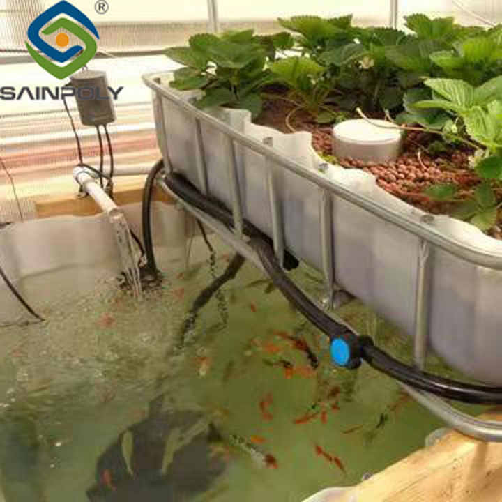 Hot Sale Aquaponics Greenhouses - Efficient Growing Systems