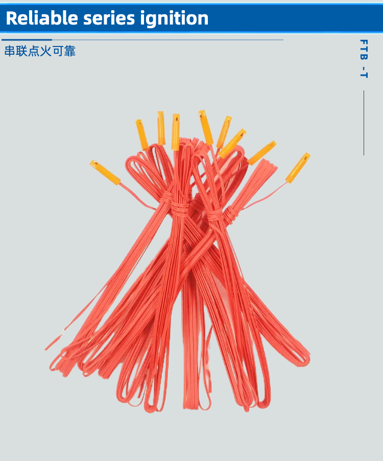 TOP FTB-T 30cm CE Certified Fireworks Igniter with Remote Control High ...