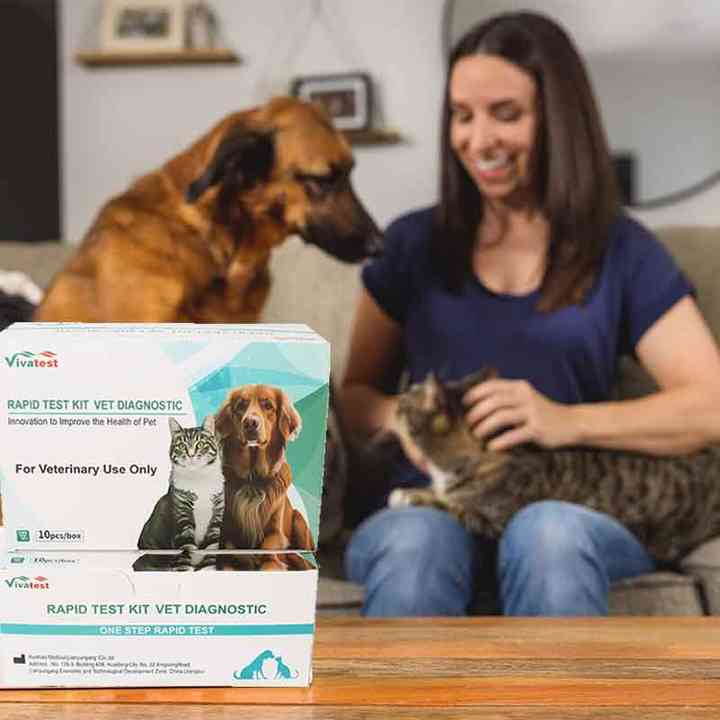 Rapid Test Kit for Canine CDV Parvovirus - Veterinaria Pet Care