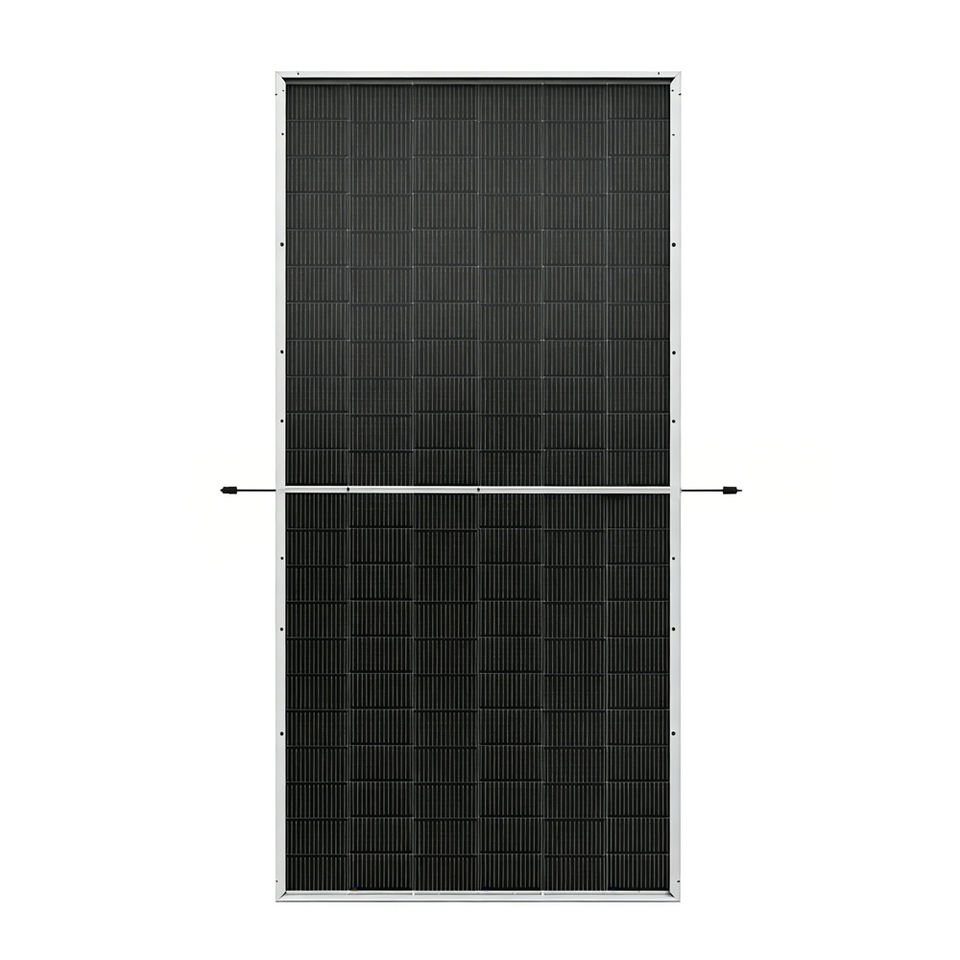 Trina Solar N-Type TOPCon Bifacial PV Module 620W 625W 630W 635W Solar ...