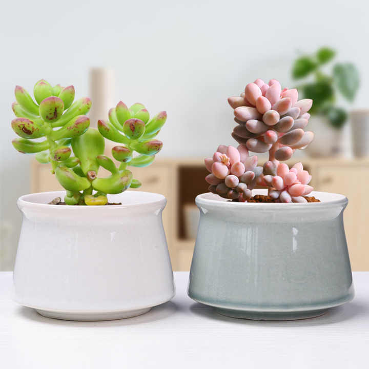 Custom Logo Macaron Pot Design Ceramic Succulent Pot for Home Gardening ...