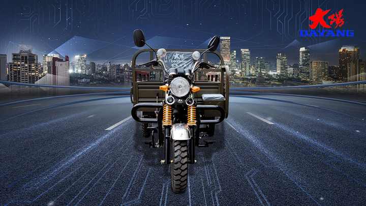 DAYANG Cargo Tricycle - Heavy Duty & Gas-Powered Ideal for 2024