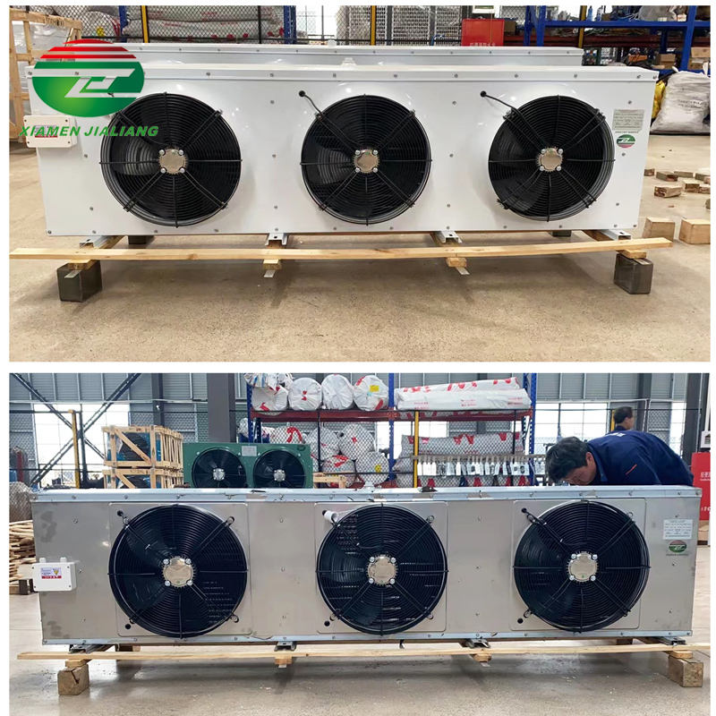 New 100mm Thick Compressor Walk-in Freezer Blast Chillers for Fish Meat ...