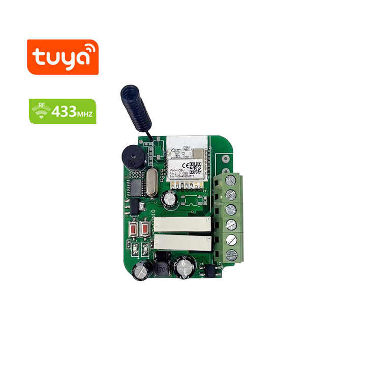 Customize12-24V Two Channel Tuya Smart and RF Control OEM ODM Pcb Board ...