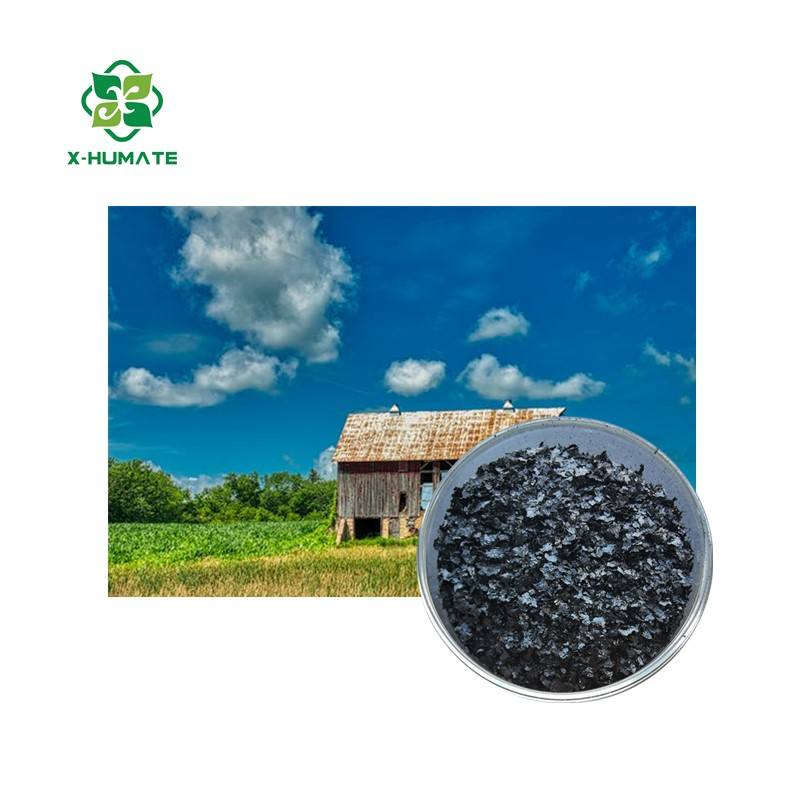 X-humate Organic Foliar and Soil Fertilizer 65% Humic Acid Potassium ...