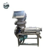 Best Selling Calamansi Juice Extractor Machine 2025