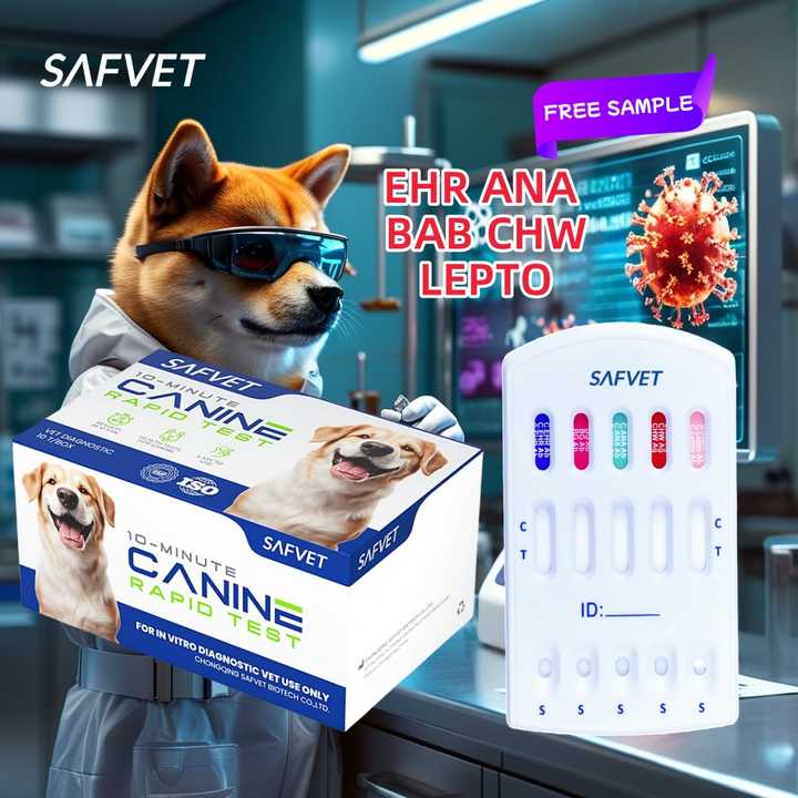 Canine Blood Parasites Diseases 4 in 1 Ehr Bab Ana Chw Quick Rapid Test ...