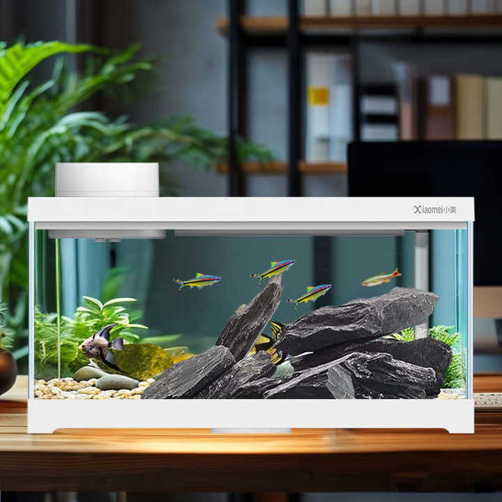 High Quality Small Smart Fish Tank With Tank Body and 4.2W RGB Power ...