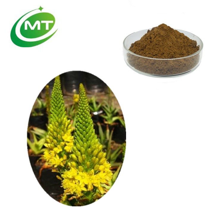 How to Choose the Best Bulbine Natalensis Root Powder: A Complete ...