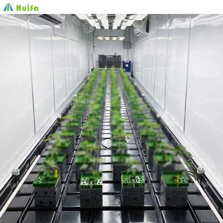 Hydroponic Shipping Container Farm - Smart Hemp Growth