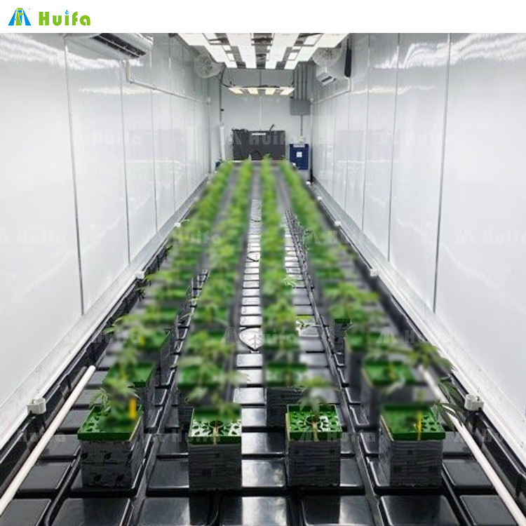 Hydroponic Shipping Container Farm - Smart Hemp Growth