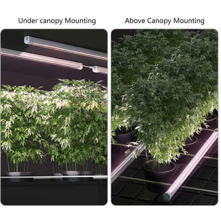 HongYi 60W LED Grow Light Strips PPE2.8 Middle Red Spectrum Grow Lights ...