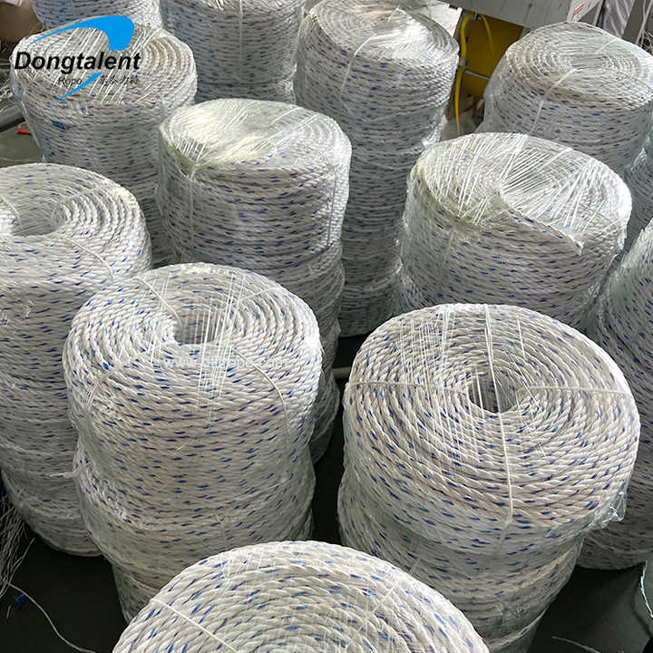 Durable 3 Strands Twisted PP Danline Marine Rope With Fish Net Rope ...