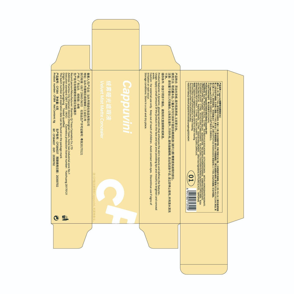 CAPPUVINI Mineral Liquid Velvet Mist Matte Concealer Waterproof ...