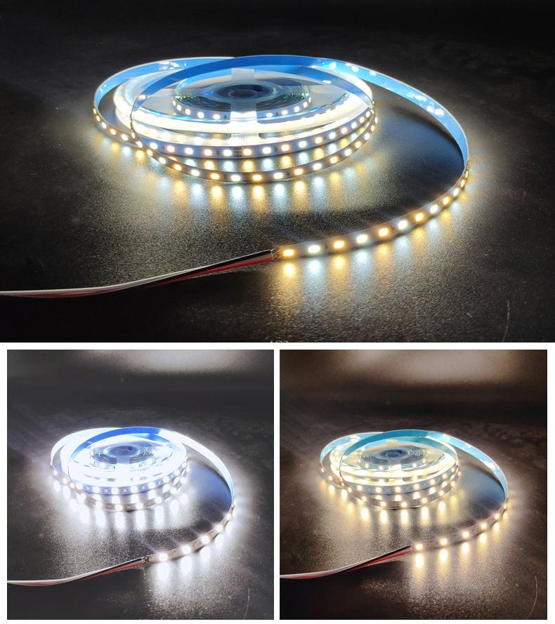 SMD 2835 Dual Color Light Strip 120D 192D 12V 24V Low Voltage Flexible ...