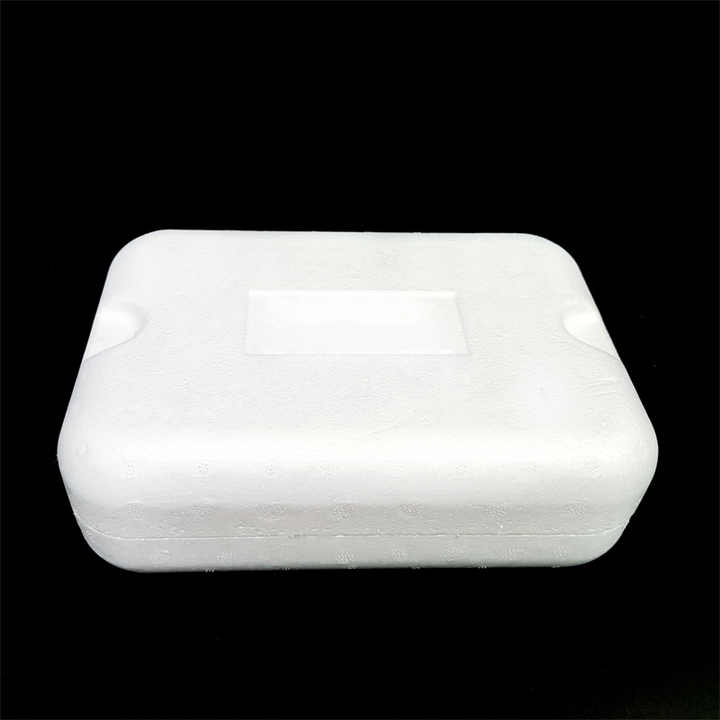 6 Cells Styrofoam Shipping Ice Cream Container Box Package for Sale ...