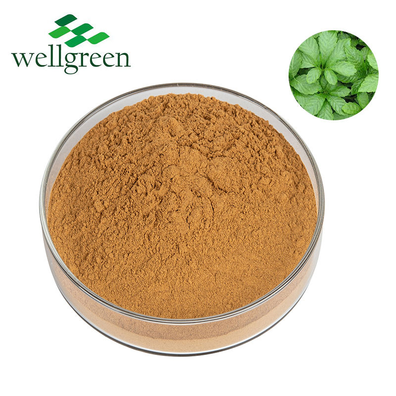 Free Sample Food Grade Natural Leaf High Quality Powder 75% Gymnemic ...