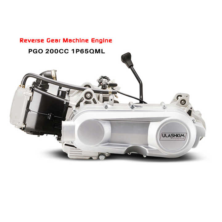 PGO 200CC 1P65QML Engine - Upgrade Your Motorcycle Performance