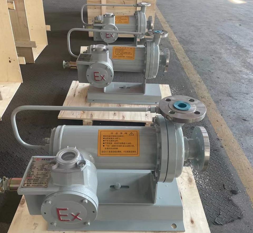 Explosion Proof Horizontal Canned Motor Pump Leak-Free Chemical Shield ...