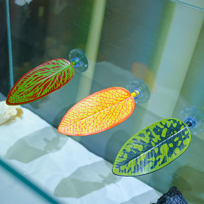 How to Choose the Best Aquarium Discus Fish Accessories: A Complete ...