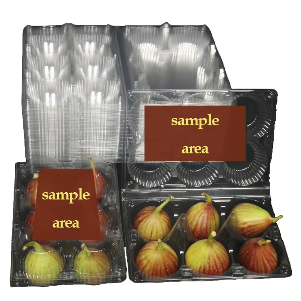 Plastic Carton Boxes - Durable, Reusable, and Versatile