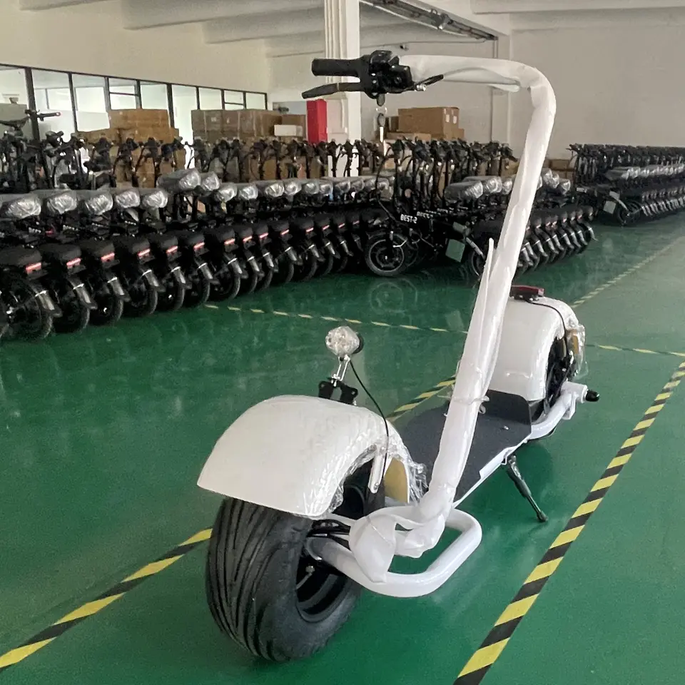 2025 Citycoco Electric Scooter 2-Wheel Long Range 3000 Watts Big ...