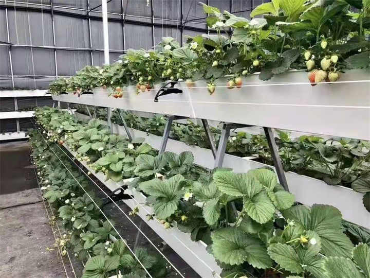 High Quality Vertical PVC Trough Hydroponic System