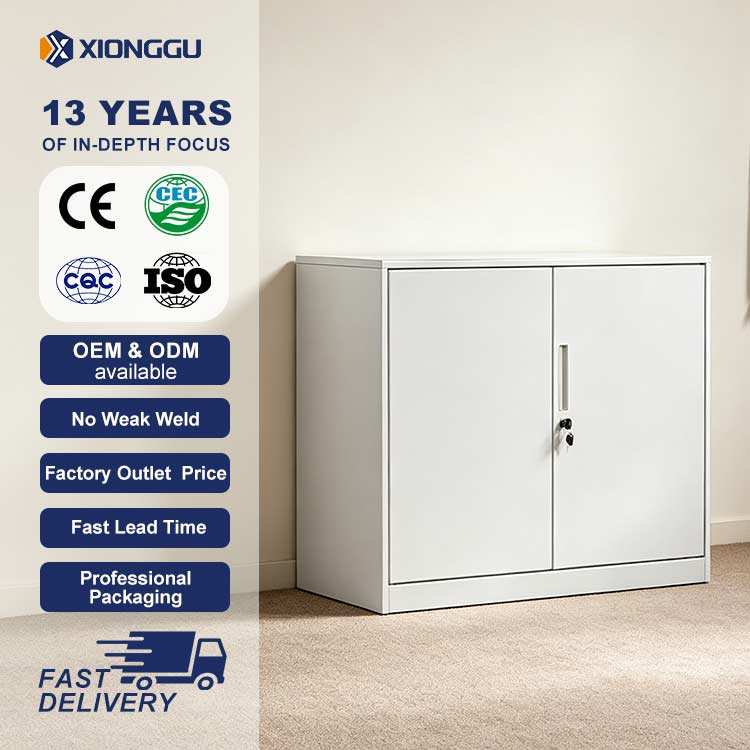 Double Door Low Height Cabinet Key Lock Scratch Proof Multi Use Home ...