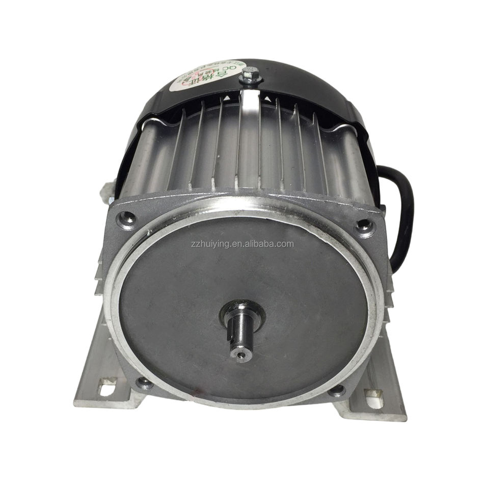 48V 60V 500W Brushless DC Motor 750W 350W High Efficiency BLDC Motor ...