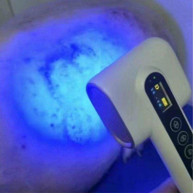 Pet Veterinary Therapy Device Red Blue Light Therapy Cat Dog Skin ...