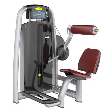 NO.11 Back Extension Commercial Gym Equipment Seated Back Extension ...