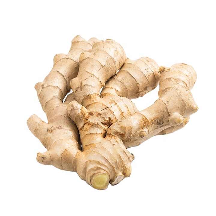High Quality Dry Ginger Export with Good Price 2024