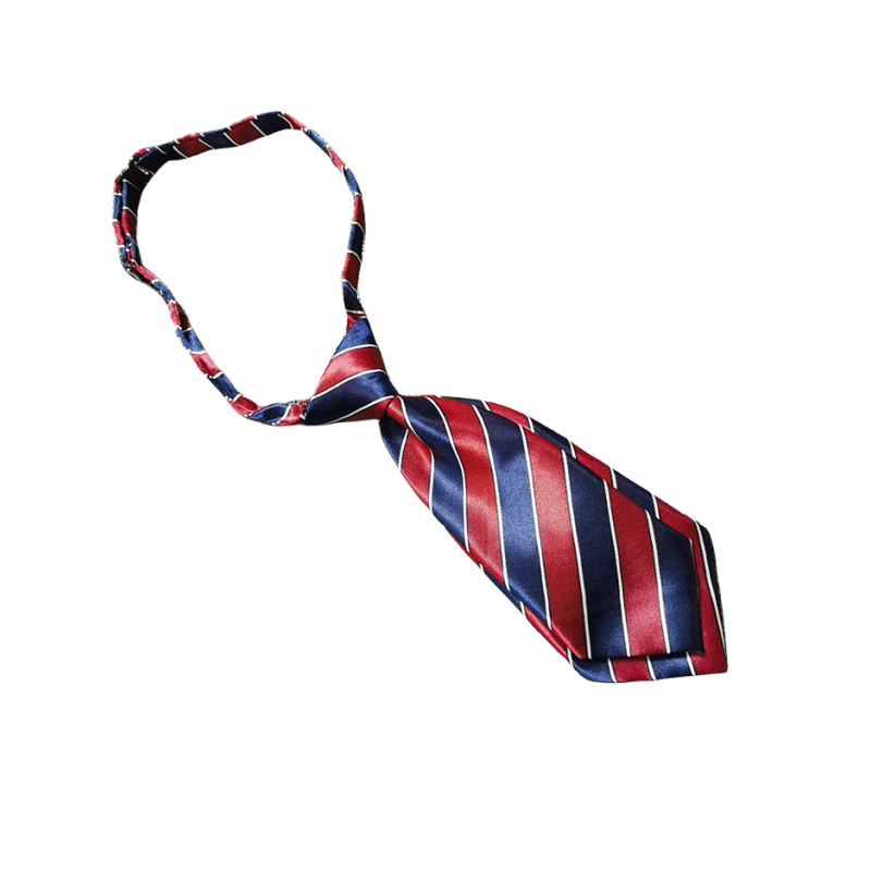 OEM Navy Maroon Kindergarten Primary School Ties Bows Stripe Pattern ...