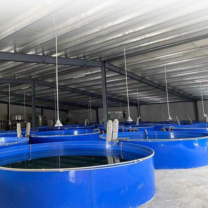 RAS Commercial Aquaculture Systems - Efficient Fish Farming