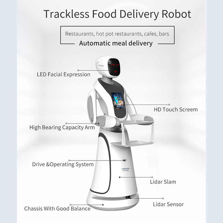 Smart Humanoid Robots for Sale – Intelligent and Multifunctional Robots ...
