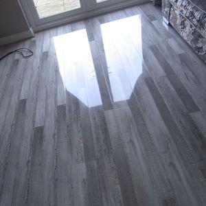 Shiny Vinyl Flooring – Flooring Ideas