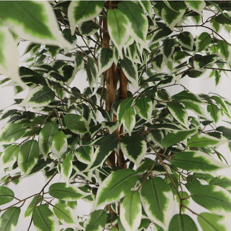 How to Choose the Best Artificial Crab Apple Tree for Your Space