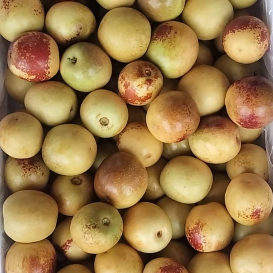 Shaanxi Dali Dongzao Daifa Seasonal Fresh Plums 2.50kg Sweet and Crisp ...