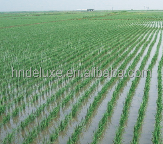 Automatic 2 Row Rice Planter Rice Planter Products from Zhengzhou ...