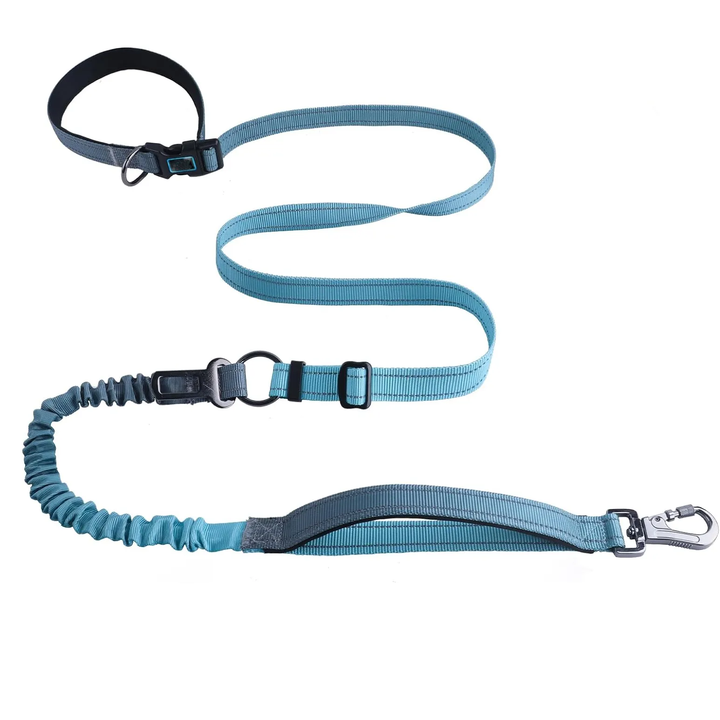 Hands Free Dog Leash Heavy Duty No Pull Bungee Retractable Dog Running ...