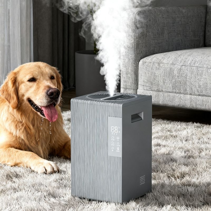 Steam Humidifier 5L Stainless Steel Steam Humidifier Health-type Warm ...